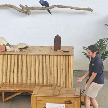 JUNGLE ISLAND - Updated June 2025 - 1294 Photos & 531 Reviews - 1111 ...