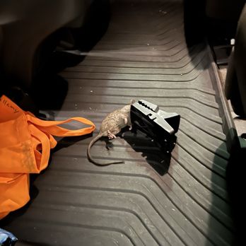 SHOTTENKIRK HONDA SERVICE CENTER - Updated December 2025 - 2200 Bob ...