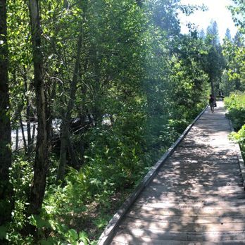 PIPI CAMPGROUND - Updated July 2025 - 123 Photos & 45 Reviews - Pioneer ...