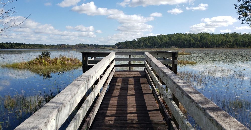 SPLIT OAK FOREST - 52 Photos & 12 Reviews - 12901 Moss Park Rd, Orlando ...