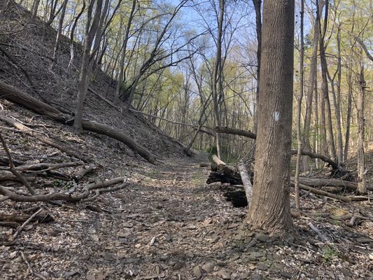 HIGH MOUNTAIN PARK PRESERVE - Updated April 2025 - 31 Photos - Wayne ...