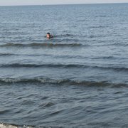 CEDAR POINT BEACH - 16 Photos - Beaches - Perimeter Rd, Sandusky, OH - Yelp