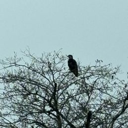 BANDON BAIT - Updated May 2025 - 75 Photos & 94 Reviews - 110 1st St SE ...