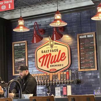 SALT FACE MULE BREWING - Updated February 2025 - 88 Photos & 52 Reviews ...