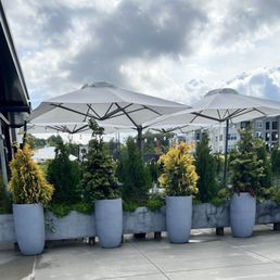 POINT B - Updated January 2026 - 220 Photos & 146 Reviews - 1020 ...