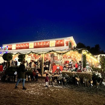 YESTERYEAR FARMS - Updated September 2025 - 194 Photos & 104 Reviews ...