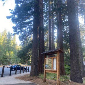 CALAVERAS BIG TREES STATE PARK - 1058 Photos & 324 Reviews - 1170 E Hwy ...