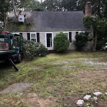 RICHARDS TREE SERVICE - Updated August 2025 - 19 Photos - 132 Lafrance ...