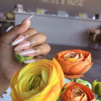 KALOS & MUSE - Updated September 2025 - 109 Photos & 43 Reviews - 101 S ...