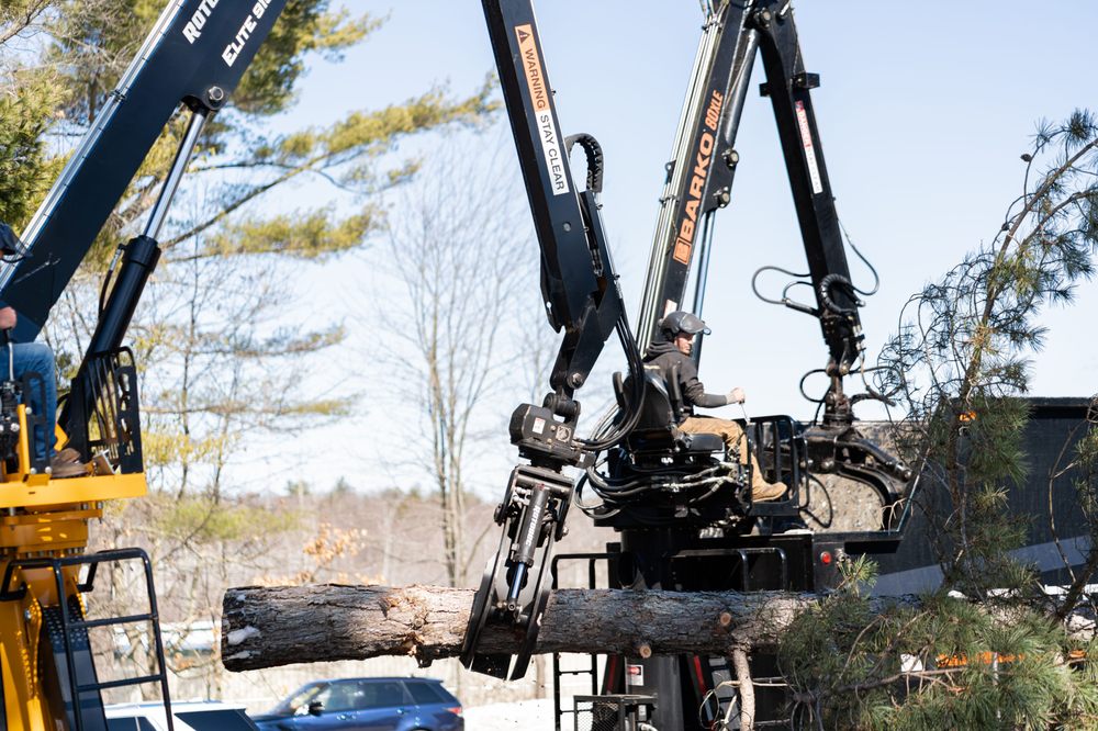 C T TREE SERVICE - Updated June 2025 - 106 Ledge Rd, Seabrook, New ...