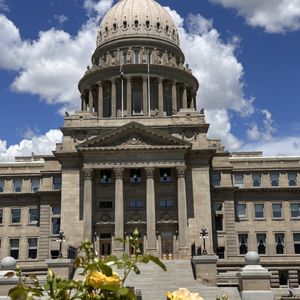 UPTOWN CHEAPSKATE- WEST BOISE - Updated May 2025 - 20 Photos & 70 ...