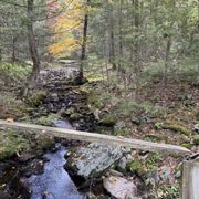 NEVERSINK RIVER UNIQUE AREA - 23 Photos - 754 Katrina Falls Rd, Rock ...