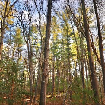 NORRIS RESERVATION - Updated July 2025 - 97 Photos - Dover St, Norwell ...