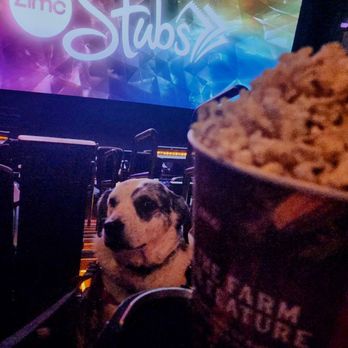 AMC DINE-IN ESPLANADE 14 - Updated January 2025 - 334 Photos & 1001 ...