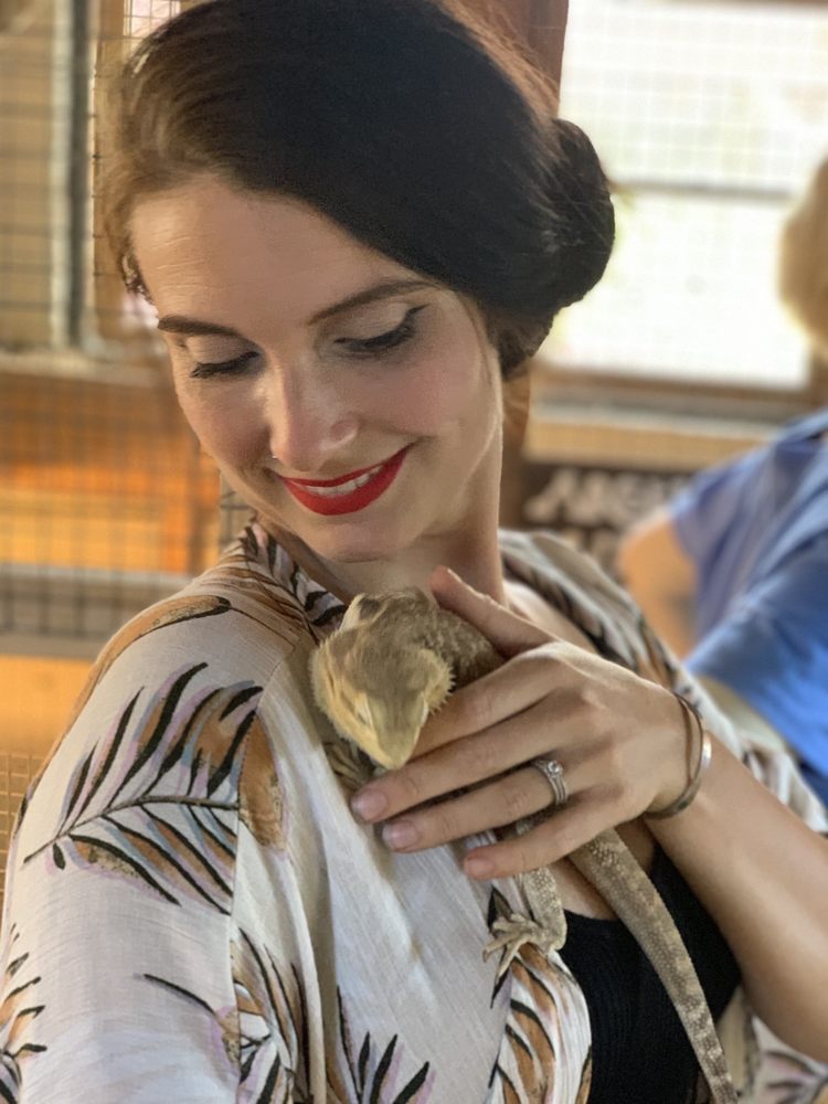 Fort Cross Old Timey Adventures, Santa Ysabel | Roadtrippers