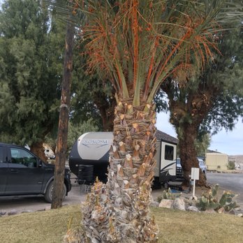 SHOSHONE VILLAGE CAMPGROUND & RV PARK - Updated December 2025 - 83 ...