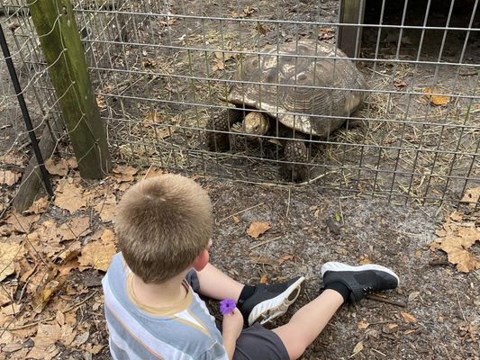 UNCLE DONALD’S FARM - Updated October 2025 - 17 Photos & 12 Reviews ...