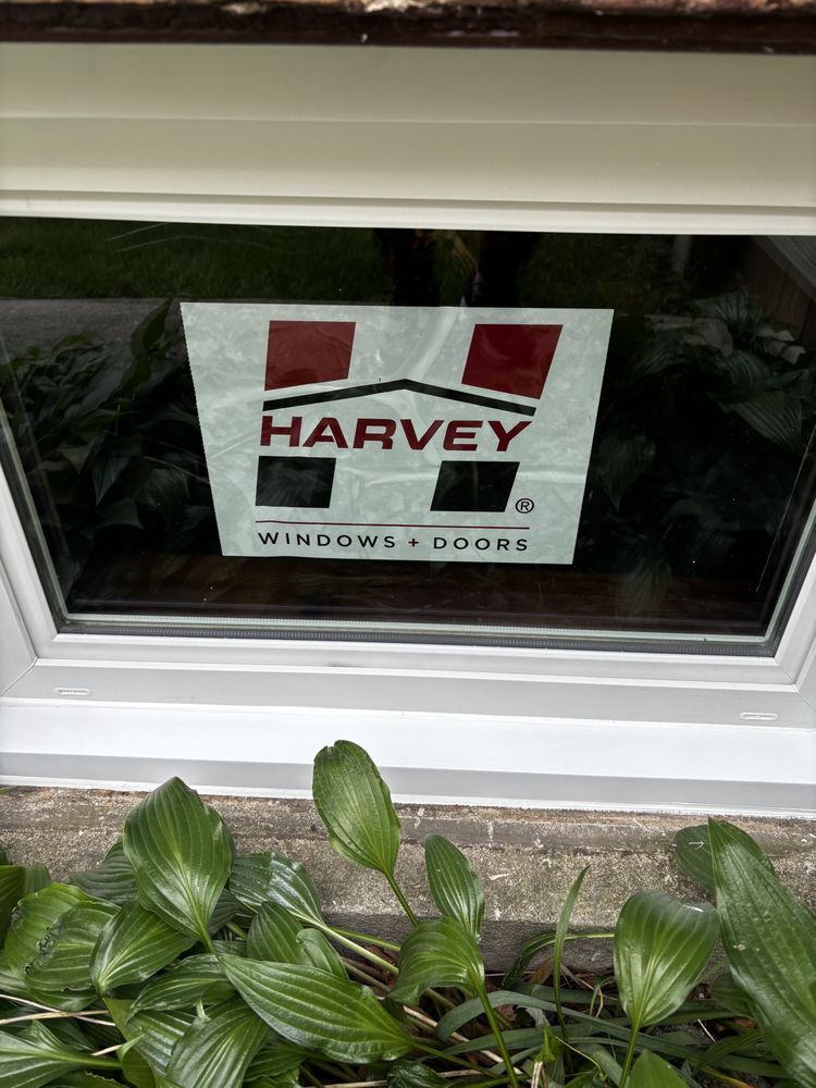 WINDOW NATION - Updated July 2025 - 22 Photos - 1120 Windham Pkwy ...