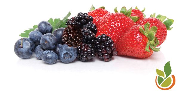 SAVE MART - Updated December 2025 - 81 Photos & 158 Reviews - 5600 ...