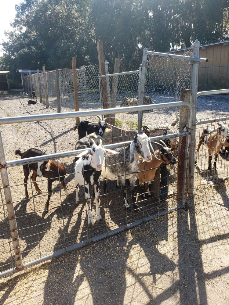 FRUITVILLE GROVE - 49 Photos & 20 Reviews - 7410 Fruitville Rd ...