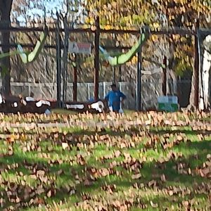 STIGLMEIER PARK - Updated July 2025 - 183 Photos & 40 Reviews - 500 ...