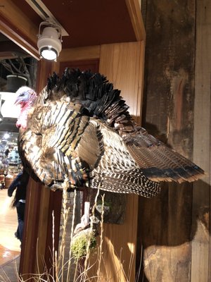 BASS PRO SHOPS - 108 Photos & 79 Reviews - 6112 Grand Ave, Gurnee ...