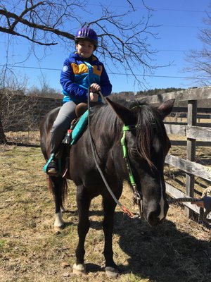 ROSES RIDING ACADEMY - Updated January 2026 - 20 Photos - 236 Bush Ln ...