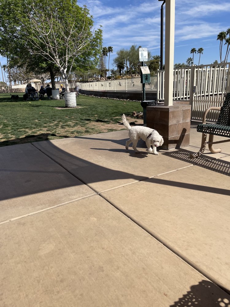 LAZY DOG RANCH - Updated October 2025 - 15 Photos - 3123 North Thistle ...