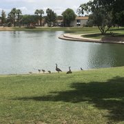 DOBSON RANCH PARK - 233 Photos & 17 Reviews - 2359 Dobson Rd, Mesa ...