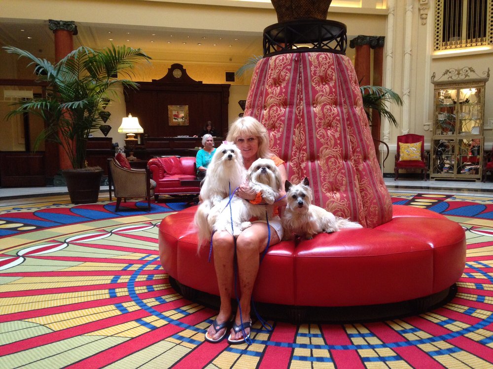 RESIDENCE INN BY MARRIOTT - Updated October 2025 - 11 Photos - 7230 ...