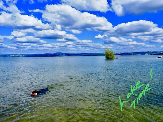 BEALS POINT CAMPGROUND - Updated October 2025 - 62 Photos & 36 Reviews ...