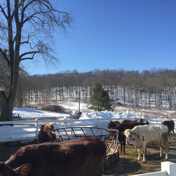 NEW POND FARM EDUCATION CENTER - Updated May 2026 - 34 Photos - 101 ...