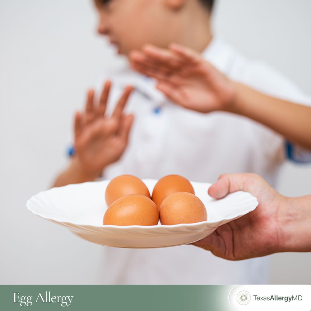 TEXAS ALLERGY MD - Updated January 2026 - 36 Photos - 1400 N Coit Rd ...