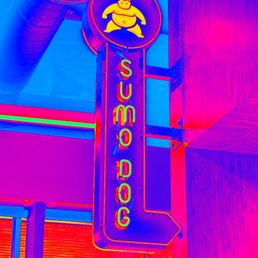 SUMO DOG - Updated January 2026 - 146 Photos & 140 Reviews - 49-830 ...