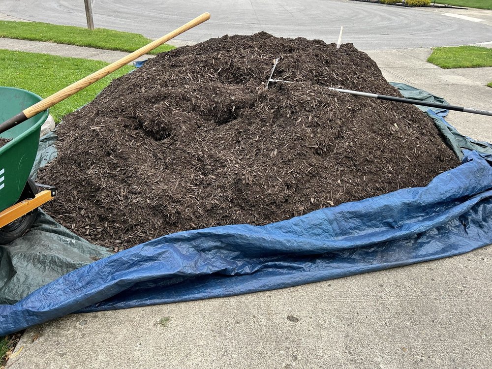 MUSSELMAN LANDSCAPE SOLUTIONS - Updated November 2025 - 16 Photos & 15 ...