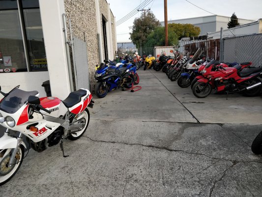 EVOLUTION MOTORCYCLES - Updated December 2024 - 37 Photos & 182 Reviews ...