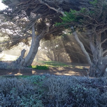 LEFFINGWELL LANDING - Updated September 2025 - 149 Photos & 17 Reviews ...