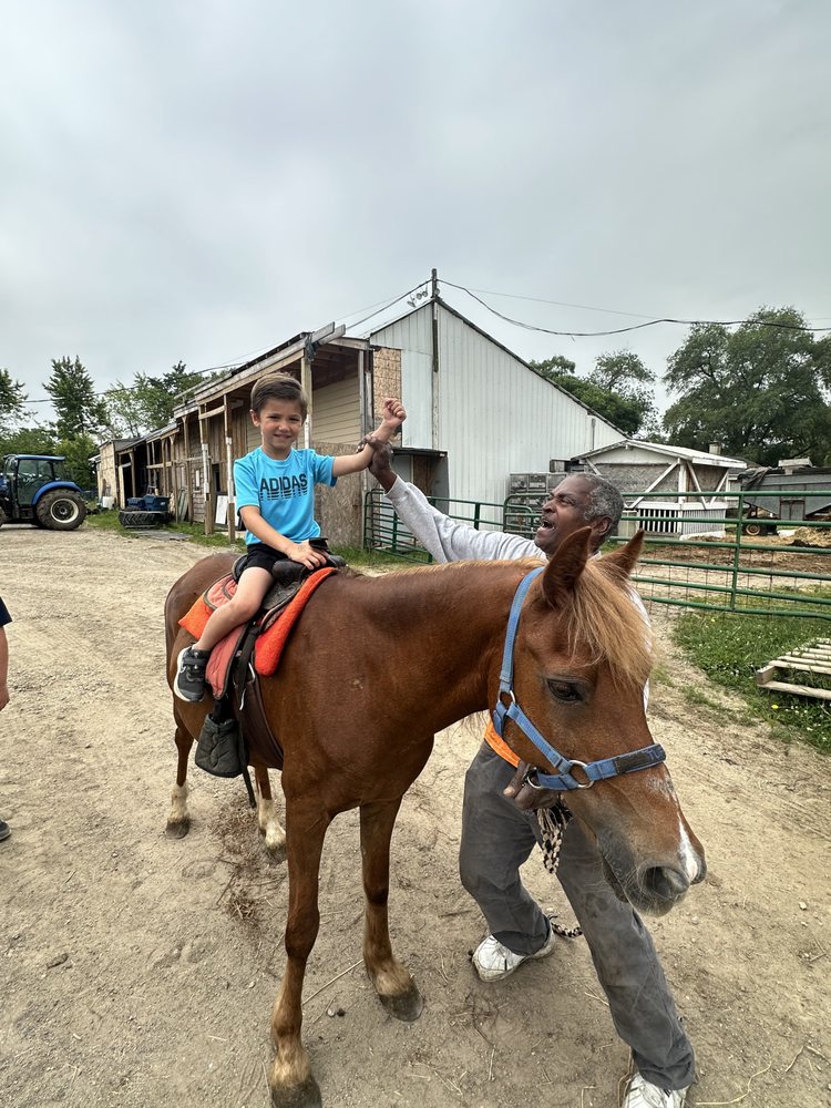 FOREST VIEW FARMS - Updated December 2025 - 65 Photos & 58 Reviews ...