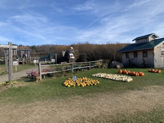 SPRINGSIDE FARM - Updated October 2025 - 21 Photos - 1850 NY-91, Fabius ...