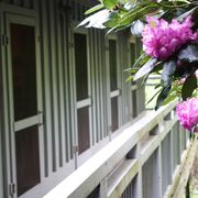 LEN FOOTE HIKE INN - 89 Photos & 31 Reviews - 280 Amicalola Falls State ...