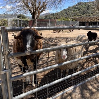 BATES NUT FARM - Updated August 2025 - 1816 Photos & 531 Reviews ...