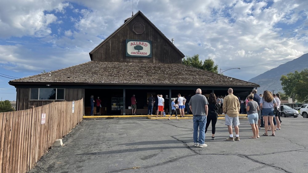 ALLRED ORCHARDS - Updated August 2024 - 22 Photos & 11 Reviews - 2109 N ...