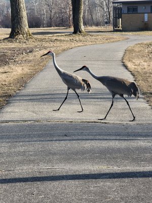 OTTAWA LAKE CAMPGROUND - Updated October 2025 - 52 Photos & 18 Reviews ...