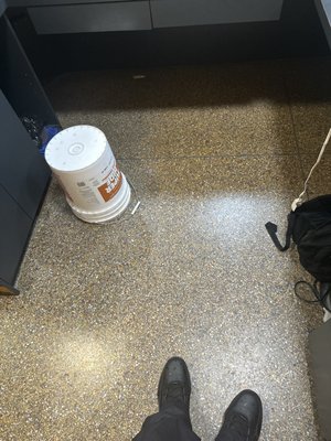 MADISON SECURITY GROUP - Updated October 2025 - 12 Photos - 2931 ...