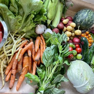 ADAMS FARM MARKET - Updated September 2025 - 10701 Adams Rd, Clarklake ...