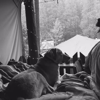 Trinity Alps Resort - 29 Photos - Resorts - 1750 Trinity Alps Rd ...