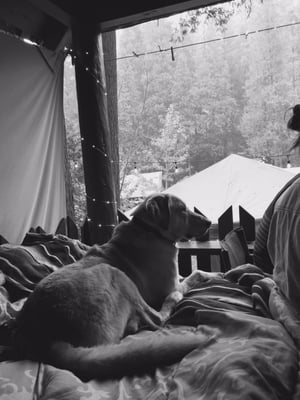 TRINITY ALPS RESORT - Updated August 2025 - 32 Photos & 14 Reviews ...