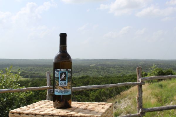 DOVE RIDGE WINERY - 38 Photos & 14 Reviews - 6060 Tucker Dr ...