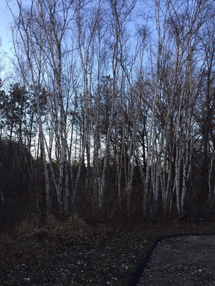 ANDALL PARK - Updated May 2024 - 503 Andall St, Lino Lakes, Minnesota ...