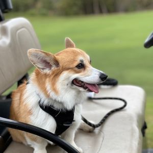 BALCONES COUNTRY CLUB - Updated June 2025 - 12 Photos & 22 Reviews ...